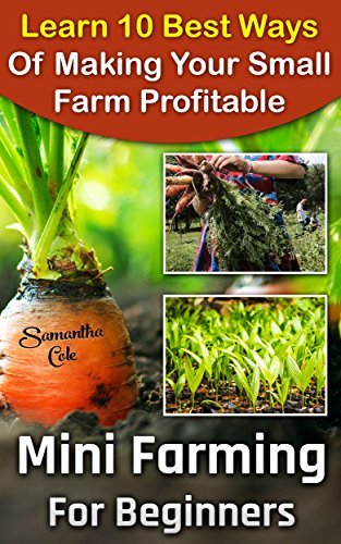 Mini Farming For Beginners: Learn 10 Best Ways Of Making Your Small ...