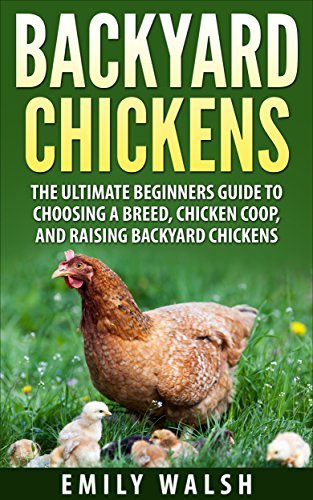 Backyard Chickens: The Ultimate Beginners Guide to Choosing a Breed ...