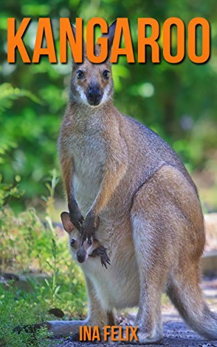 Kangaroo: Children Book of Fun Facts & Amazing Photos on Animals in ...