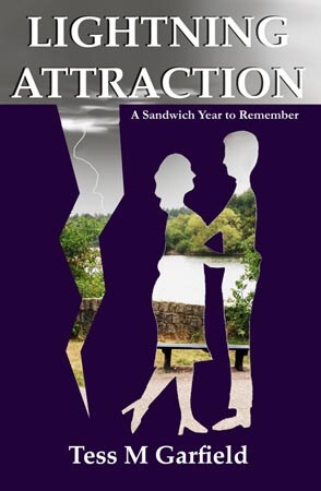Lightning Attraction: A Year to Remember by Tess M. Garfield | Goodreads