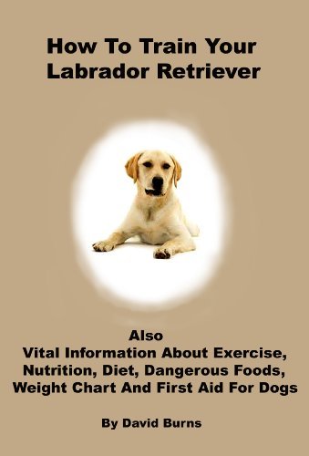 How To Train Your Labrador Retriever: Also vital information about ...