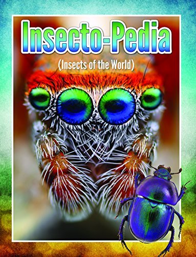 Insecto-Pedia (Insects Of The World): Insects, Spiders and Bug Facts ...