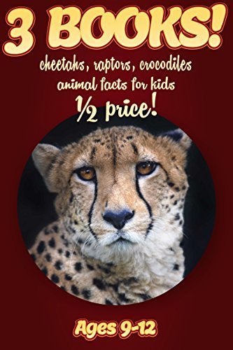 Cheetah, Raptor, Crocodile & Alligator Facts For Kids by Cindy Bowdoin ...