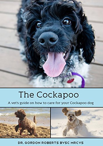 The Cockapoo: A vet's guide on how to care for your Cockapoo dog by ...