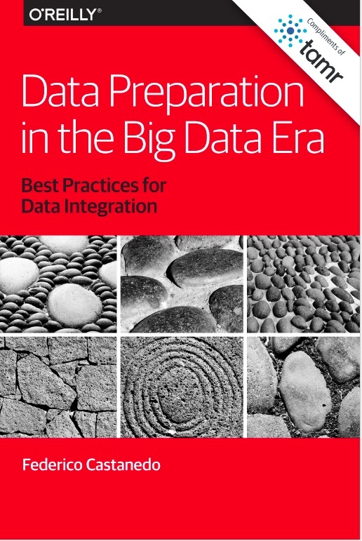 Data Preparation in the Big Data Era by Federico Castanedo | Goodreads