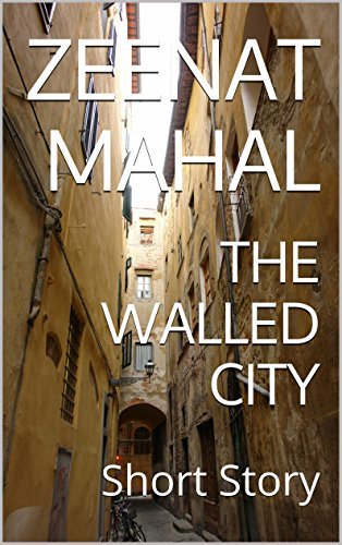 The Walled City by Zeenat Mahal | Goodreads