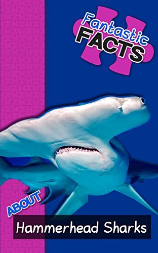 Fantastic Facts About Hammerhead Sharks: Illustrated Fun Learning For ...