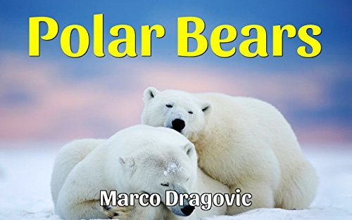 Polar Bears: Fun Facts For Kids, Picture Books For Kids by Marco ...