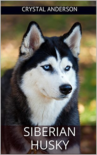 Siberian Husky: How to Own, Train and Care for Your Siberian Husky by ...
