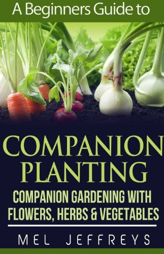 A Beginners Guide to Companion Planting: Companion Gardening with ...