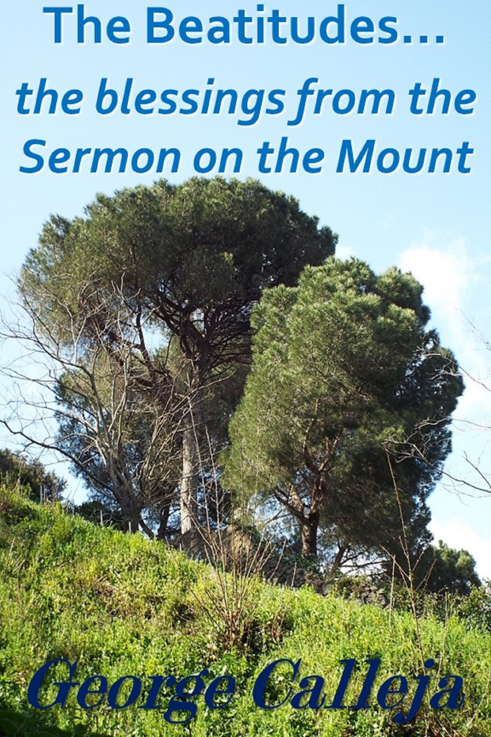 'The Beatitudes... the blessings from the Sermon on the Mount' by ...