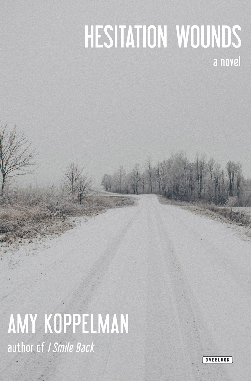 Hesitation Wounds by Amy Koppelman | Goodreads