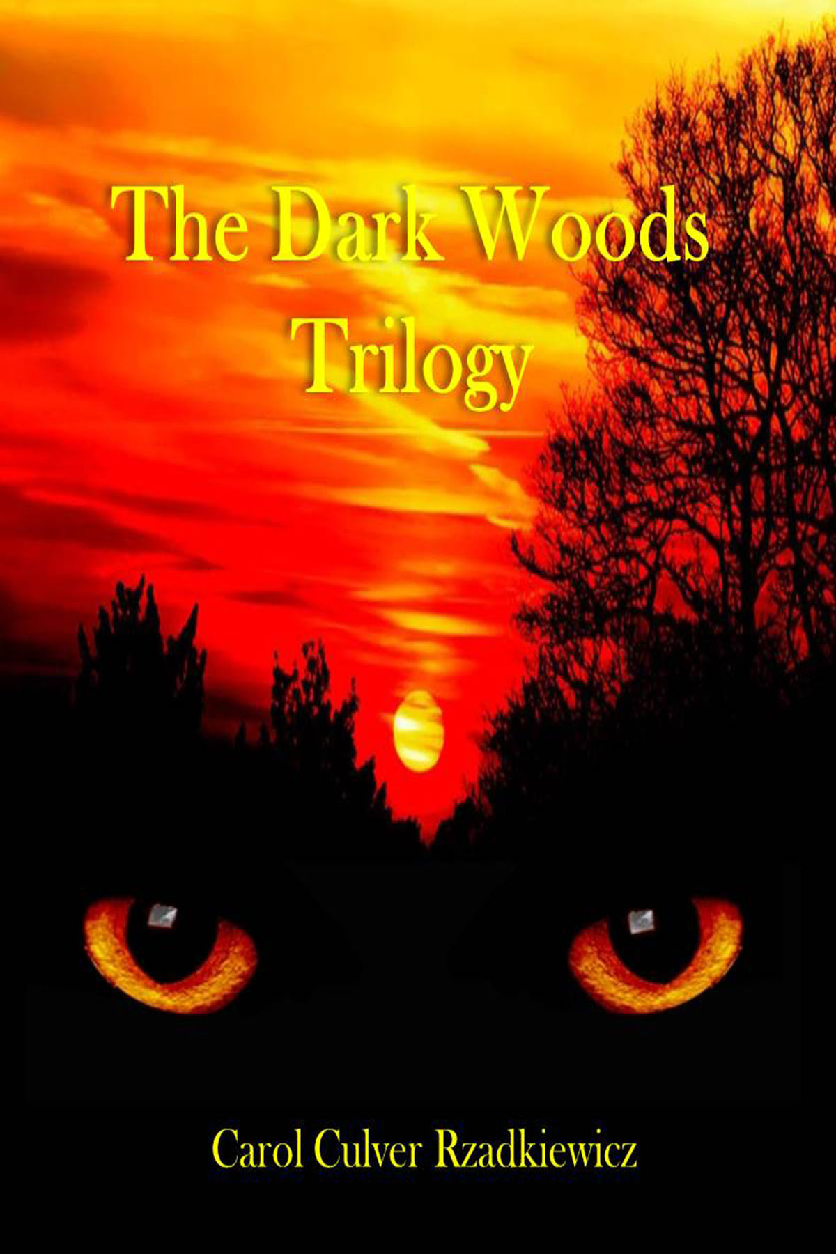 The Dark Woods by Carol Culver Rzadkiewicz | Goodreads