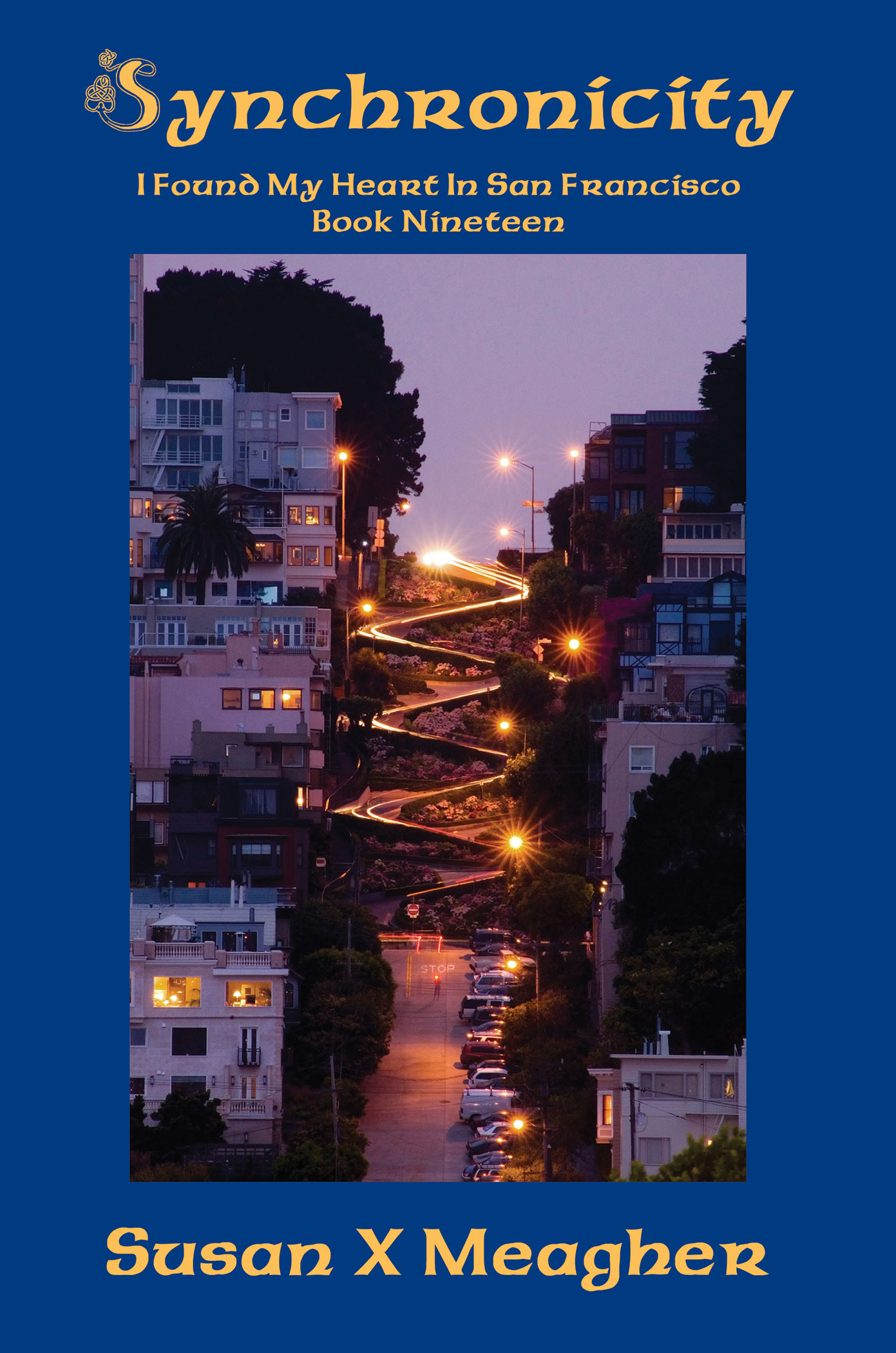 Synchronicity by Susan X. Meagher | Goodreads