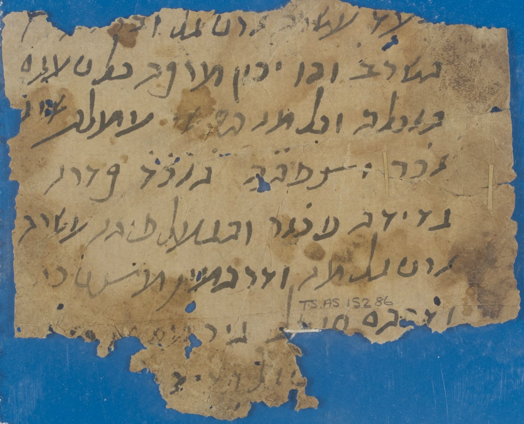 Moses Maimonides: Regimen of Health by Maimonides | Goodreads