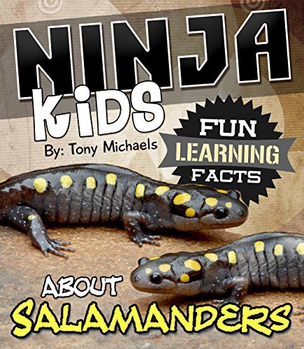 Fun Learning Facts About Salamanders: Illustrated Fun Learning For Kids ...
