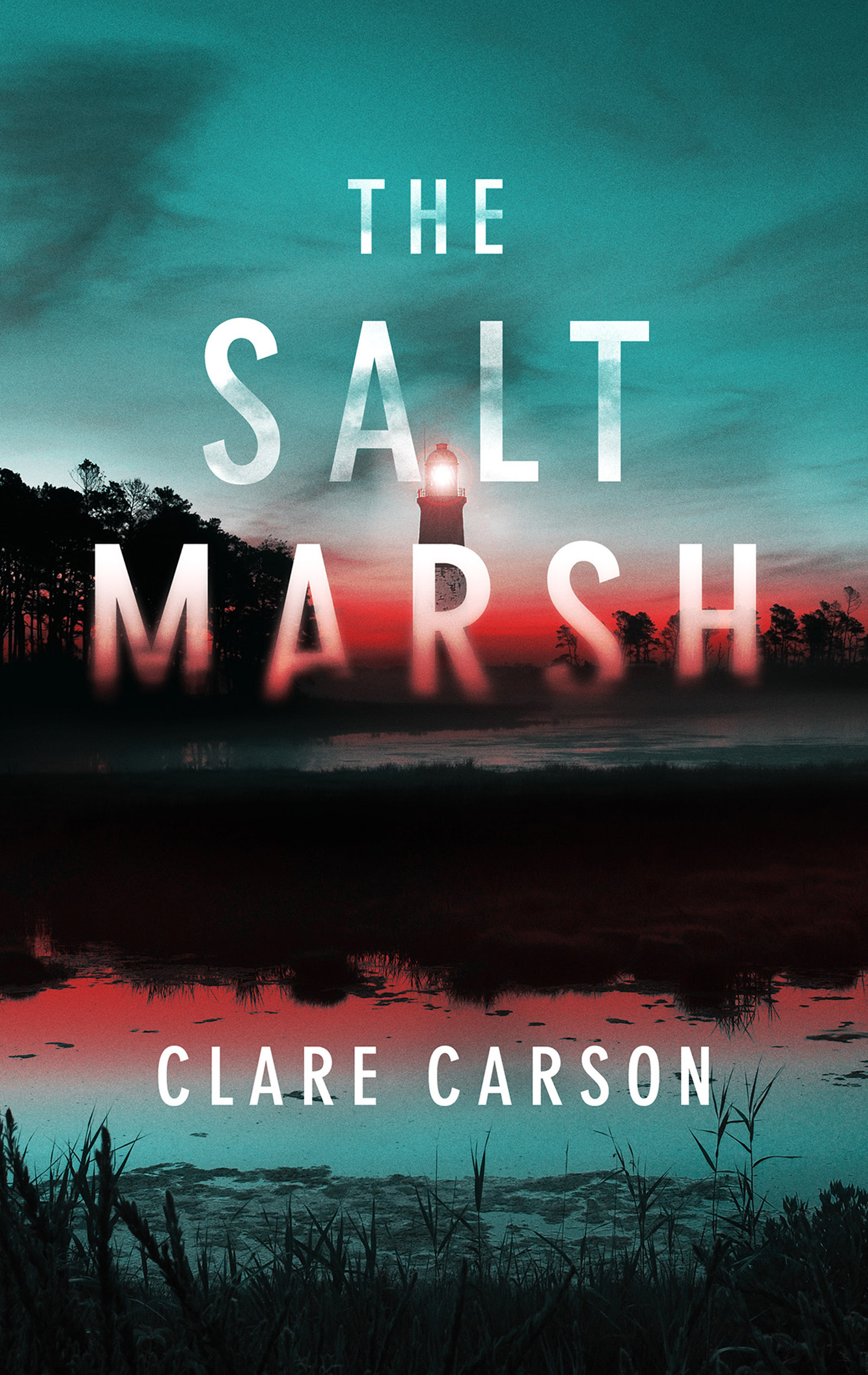 The Salt Marsh (Sam Coyle Trilogy, #2) by Clare Carson | Goodreads