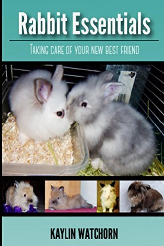 Rabbit Essentials: Taking care of your new best friend! by Kaylin ...