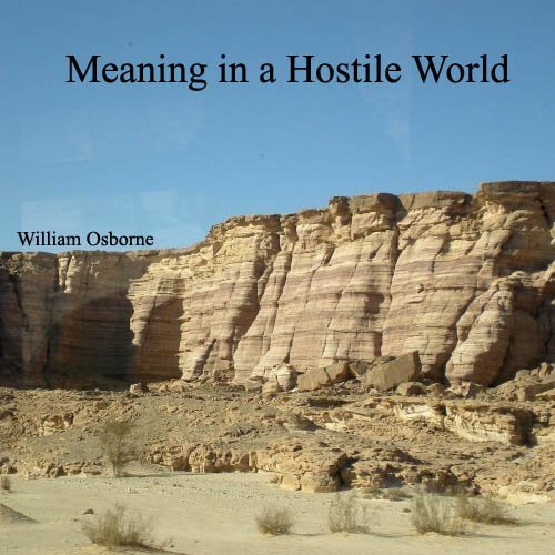 Meaning in a Hostile World by William Osborne | Goodreads