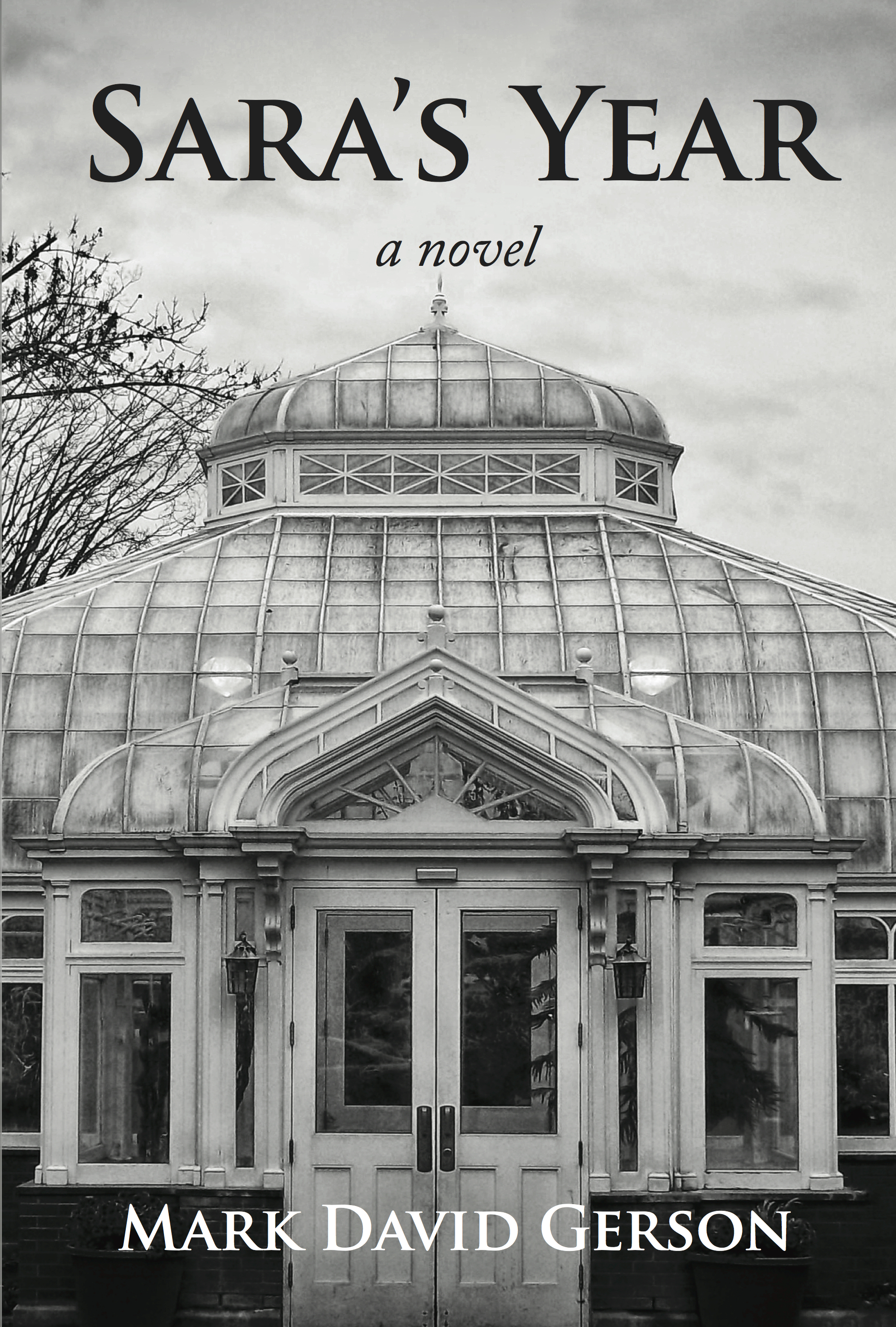 Sara's Year by Mark David Gerson | Goodreads
