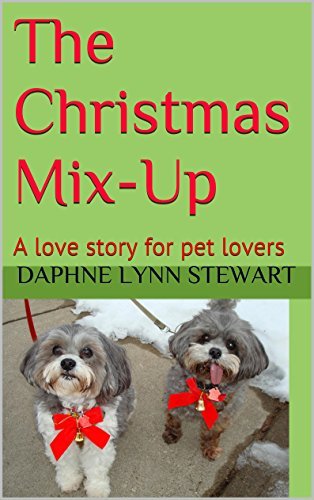 The Christmas Mix-Up by Daphne Lynn Stewart | Goodreads