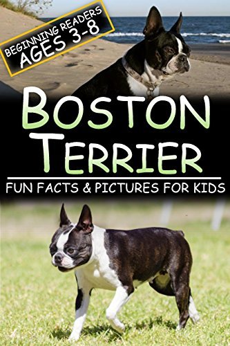 Boston Terrier: Fun Facts & Pictures For Kids, Beginning Readers Ages 3 ...