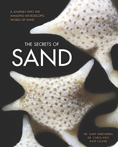 The Secrets of Sand: A Journey into the Amazing Microscopic World of ...