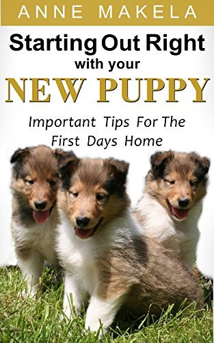 Starting Out Right With Your New Puppy: Important Tips For The First ...