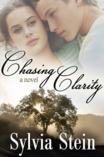 Chasing Clarity by Sylvia Stein | Goodreads