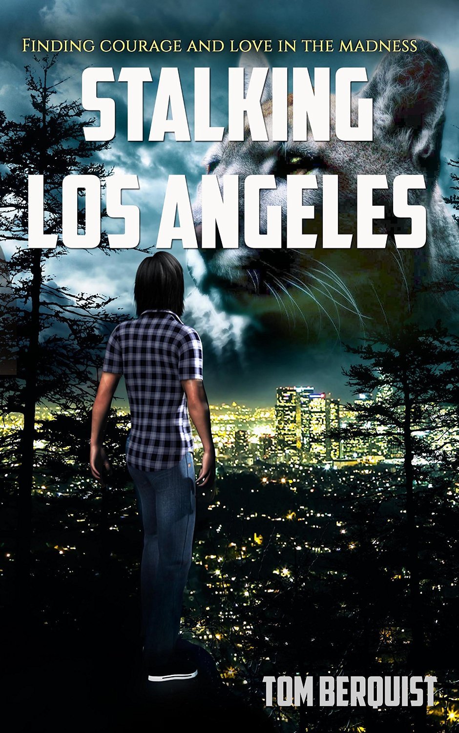 Stalking Los Angeles: Finding Courage and Love in the Madness by Tom ...