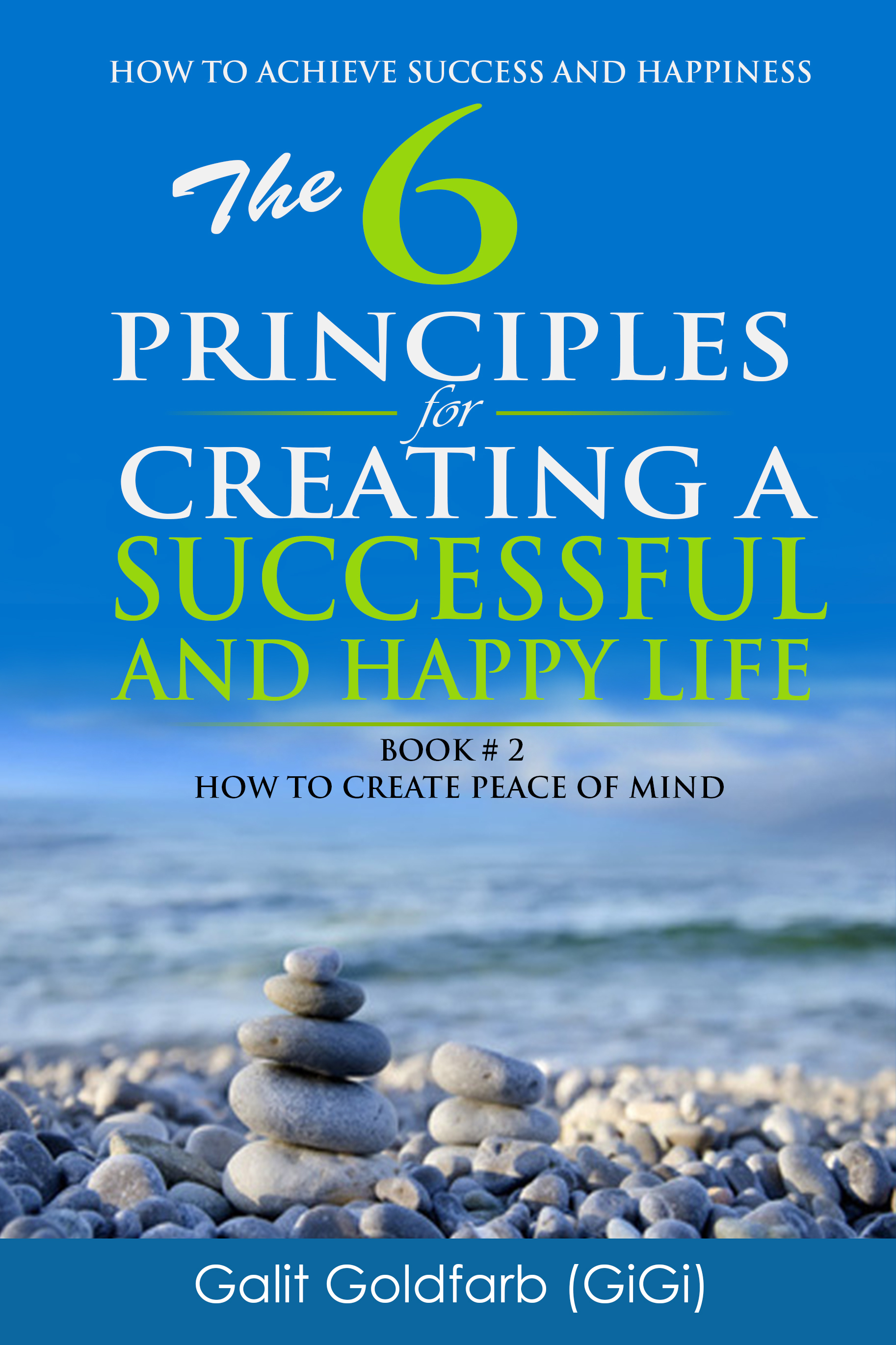 The 6 Principle Strategy for Creating a Successful & Happy Life: Book ...