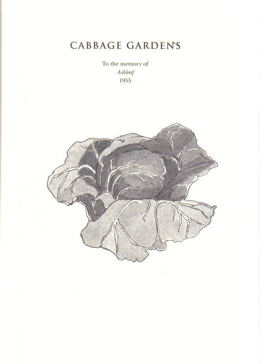 Cabbage Gardens by Susan Howe | Goodreads