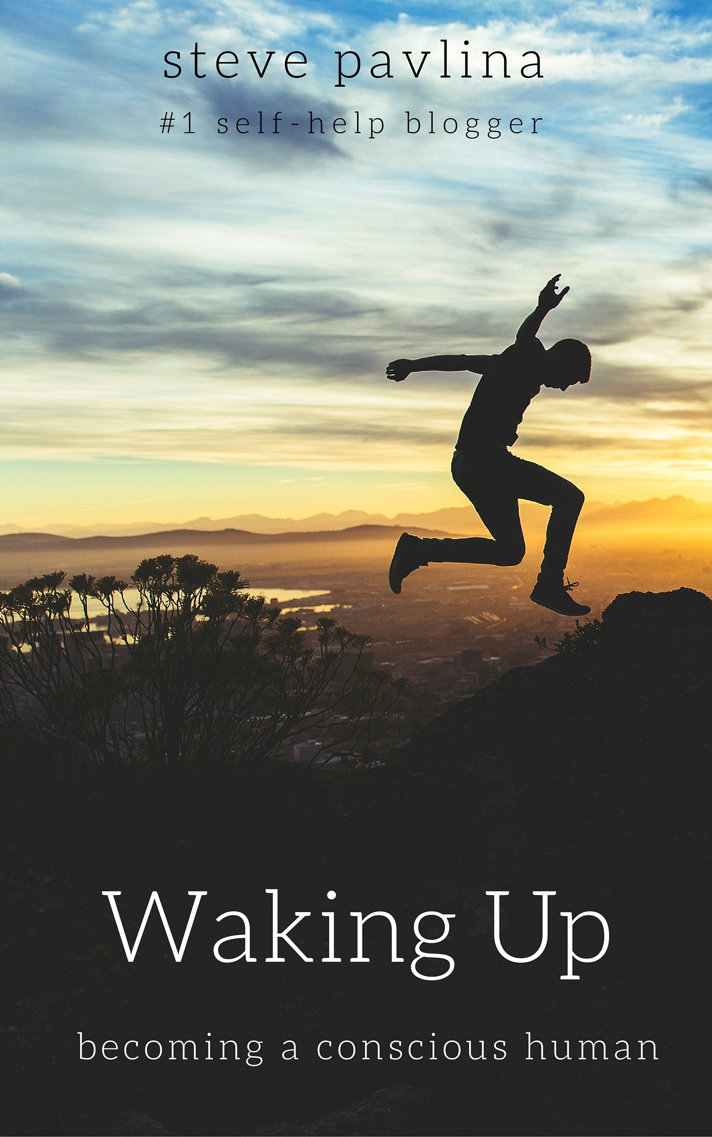Waking Up: Becoming a Conscious Human by Steve Pavlina | Goodreads