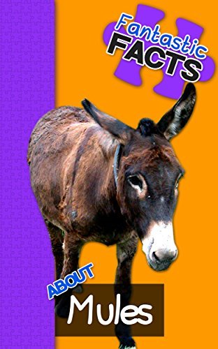 Fantastic Facts About Mules: Illustrated Fun Learning For Kids by Miles ...
