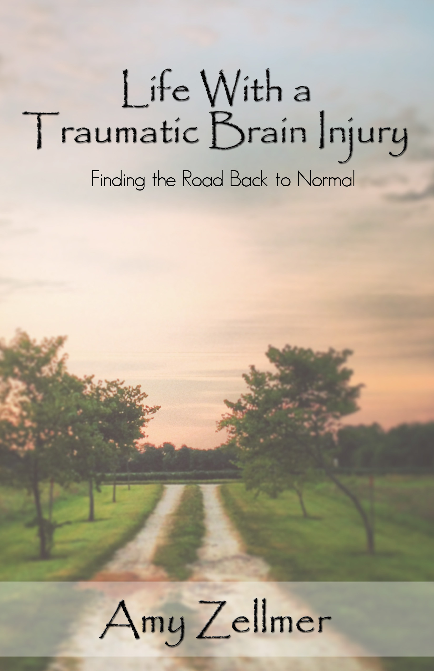 Life With a Traumatic Brain Injury: Finding the Road Back to Normal by ...