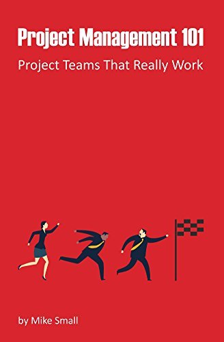 Project Management 101: Project Teams That Really Work by Mike Small ...