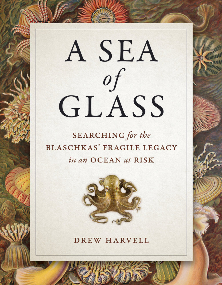 A Sea of Glass: Searching for the Blaschkas' Fragile Legacy in an Ocean ...