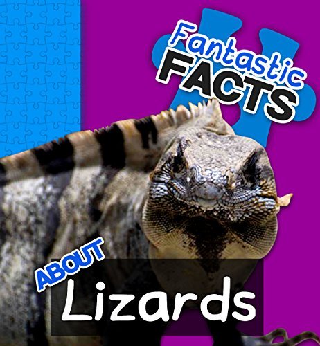 Fantastic Facts About Lizards: Illustrated Fun Learning For Kids by ...
