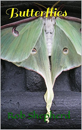 Butterflies by Rob Shepherd | Goodreads