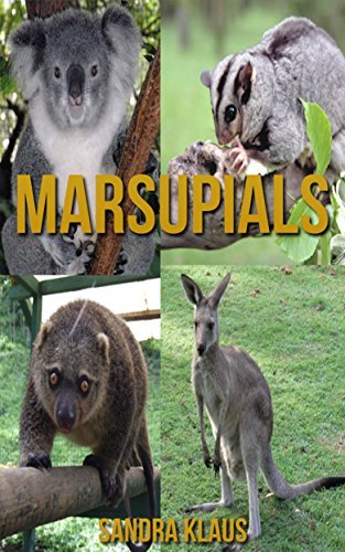 Childrens Book: Amazing Facts & Pictures about Marsupials by Sandra ...