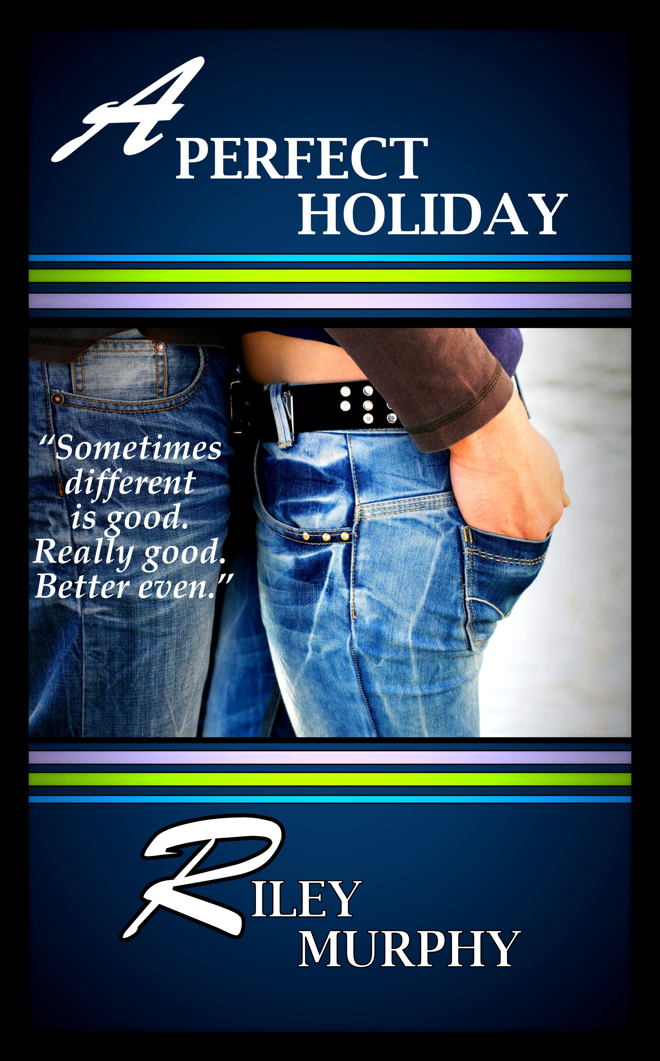 A Perfect Holiday by Riley Murphy | Goodreads