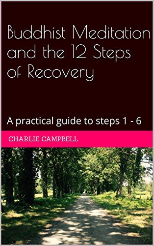 Buddhist Meditation and the 12 Steps of Recovery: A practical guide to ...
