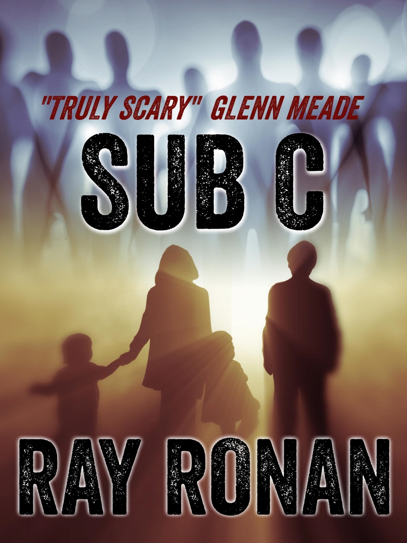 Sub C by Ray Ronan | Goodreads