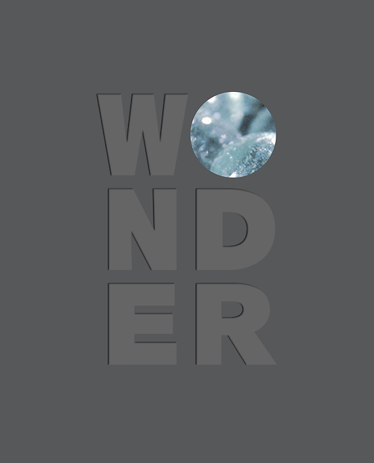 Wonder by Nicholas Bell | Goodreads