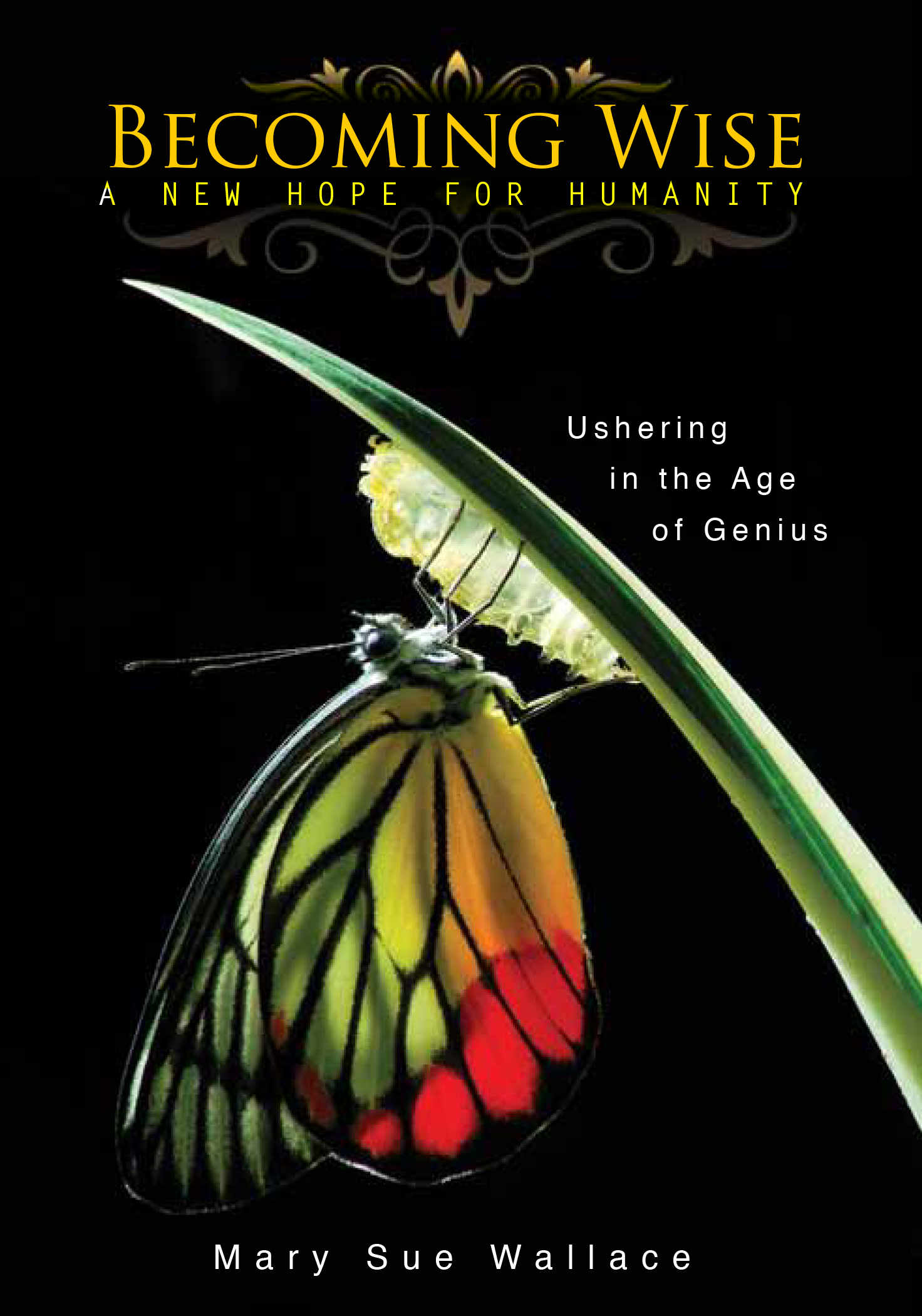 Becoming Wise: A New Hope for Humanity by Mary Sue Wallace | Goodreads