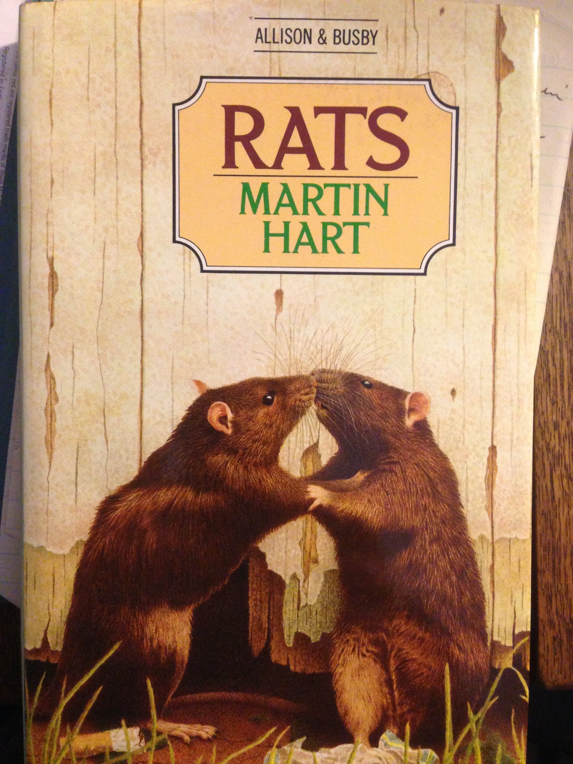 Rats by Maarten 't Hart | Goodreads