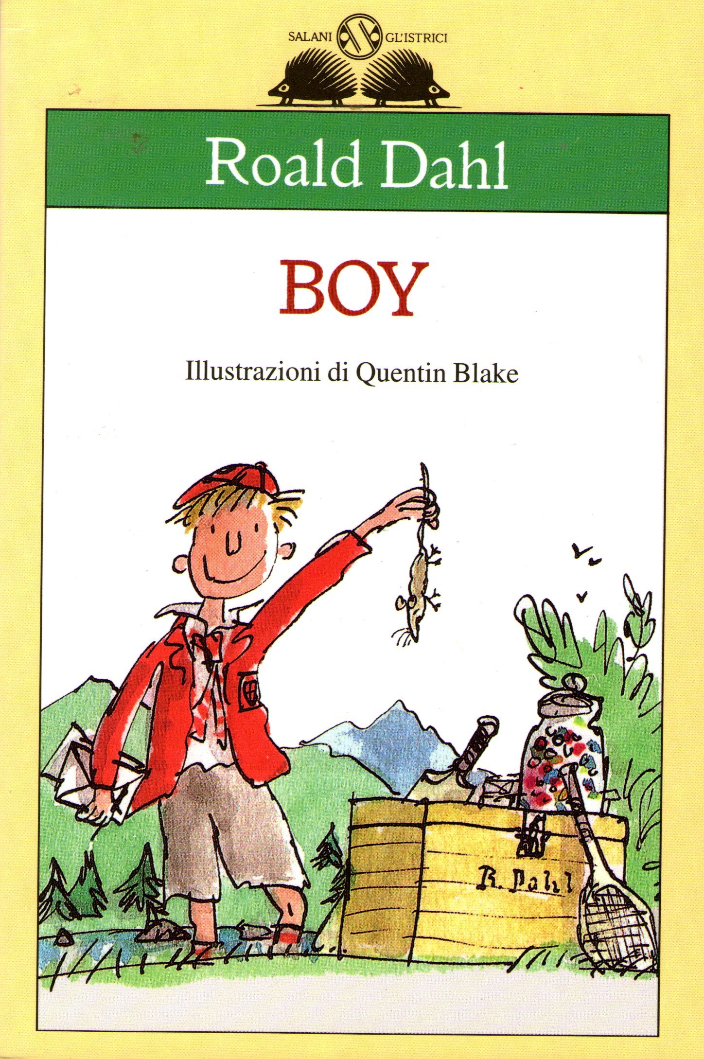 Boy by Roald Dahl | Goodreads