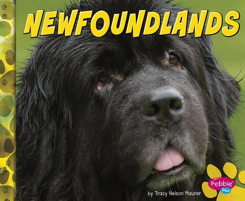Newfoundlands (Big Dogs) by Allan Morey | Goodreads