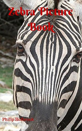 Zebra Picture Book by Philip Holbrook | Goodreads