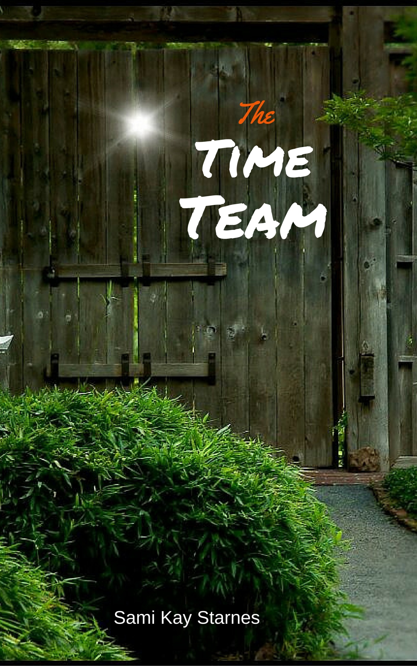 The Time Team - The Beginning by Sami Kay Starnes | Goodreads